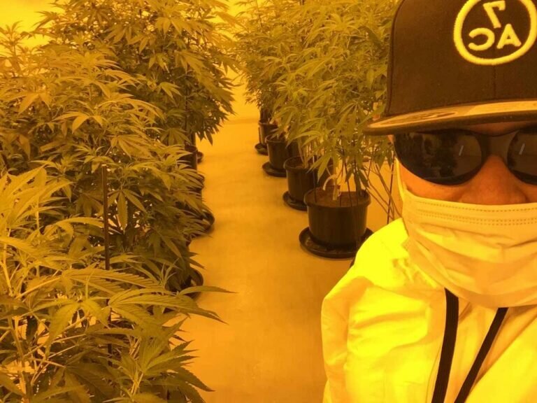 Licensed Laboratories for Testing Cannabis in Alberta - Extract Magazine