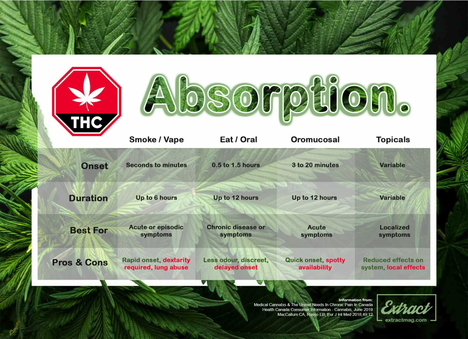 Cannabinoid Absorption Onset & Duration - Extract Magazine